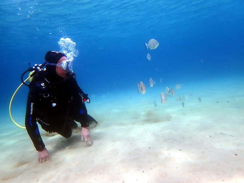 Lanzarote: Small Group Beginner Dive Course Costa Teguise - Who Will Enjoy This?