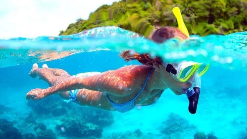 Lanzarote: Snorkeling Tour with Snack and Water - The Value of This Experience