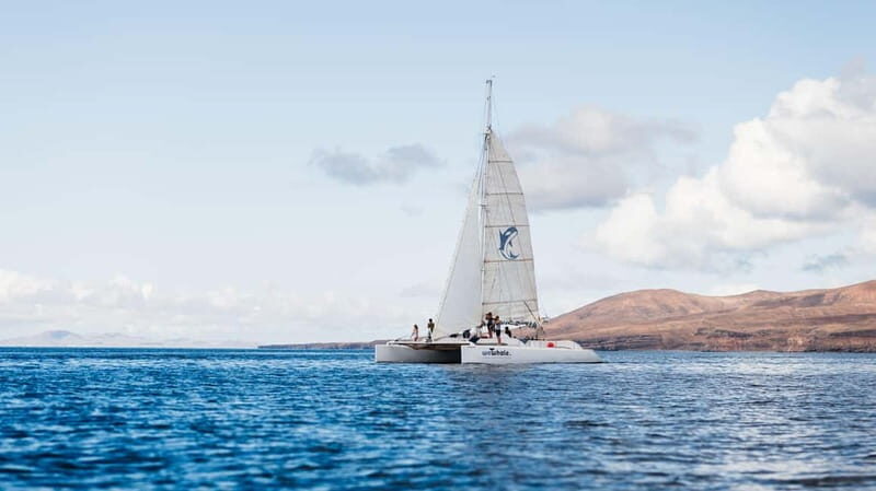 Lanzarote Sunset Experience with dolphin spotting - An In-depth Look at the Lanzarote Sunset Dolphin Tour