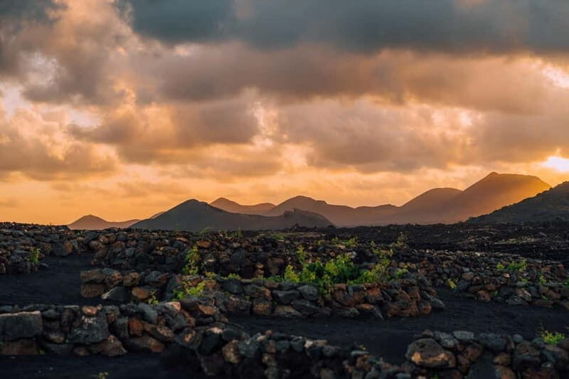 Lanzarote: Sunset vineyard tour with wine and chocolate tasting - An In-Depth Look at the Tour Experience
