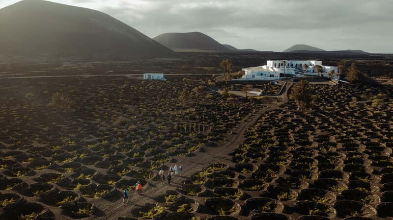 Lanzarote: Sunset vineyard tour with wine and chocolate tasting - The Practical Side: What Youll Need to Know
