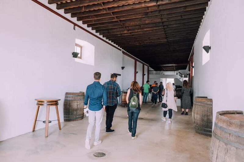 Lanzarote: Sunset vineyard tour with wine and chocolate tasting - Who Should Consider This Tour?
