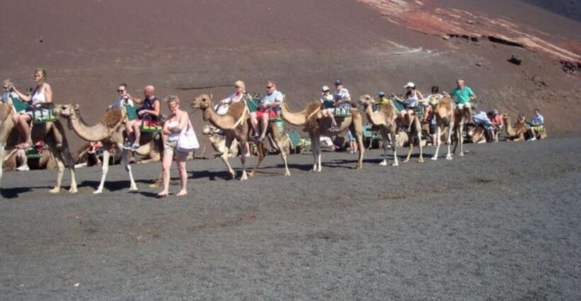 Lanzarote: Timanfaya National Park Tour - An In-Depth Look at Lanzarote’s Timanfaya National Park Tour