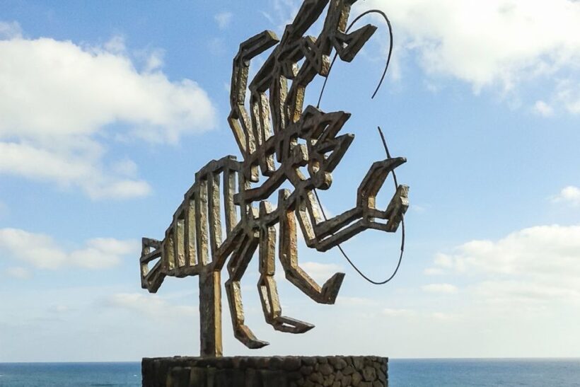 Lanzarote: Timanfaya Park and Jameos del Agua Full-Day Tour - Who Will Love This Tour?