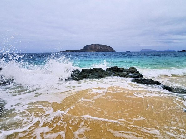 Lanzarote Tour: Lagomar Museum, Guatiza Cactus Garden & La Graciosa Island - Key Points