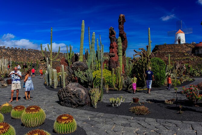 Lanzarote Tour: Lagomar Museum, Guatiza Cactus Garden & La Graciosa Island - Highlights of the Itinerary