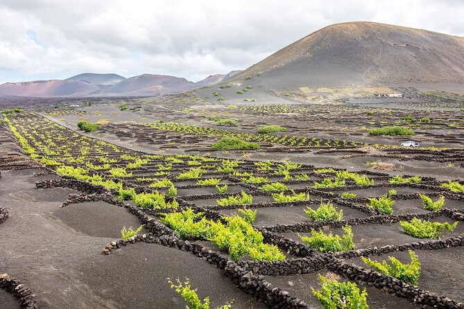 Lanzarote Tour with Timanfaya National Park and El Golfo - Who Will Appreciate This Tour?