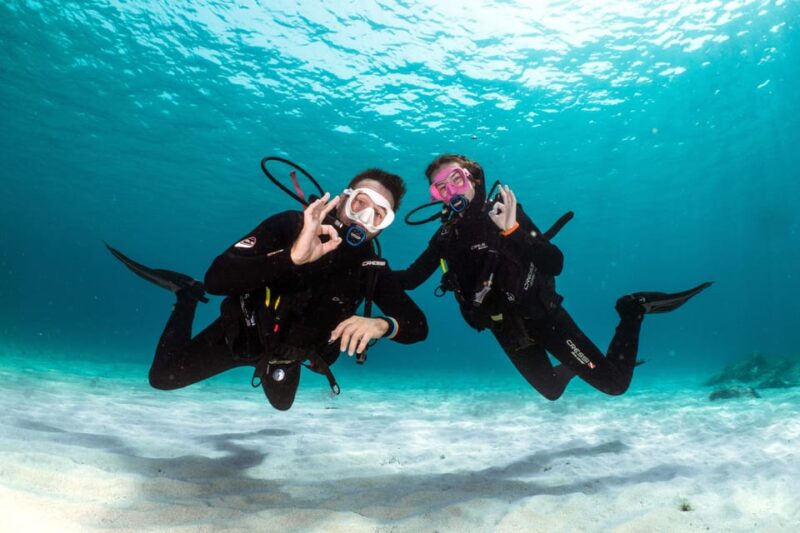 Lanzarote: Try Scuba Diving for Beginners - 2 Dives - The Sum Up