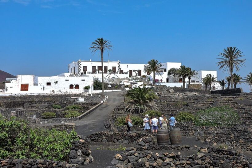 Lanzarote: Vineyard Tour with Wine and Chocolate Tasting - A Detailed Look at the Tour Experience