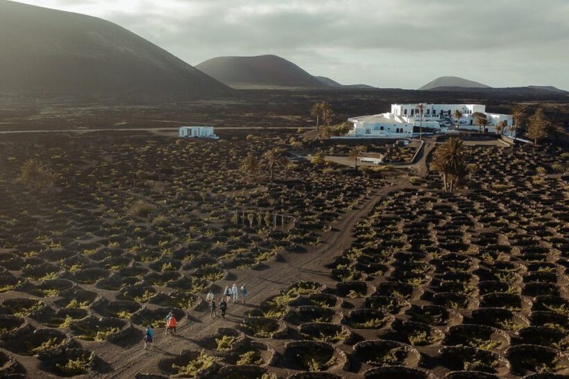 Lanzarote: Vineyard Tour with Wine and Chocolate Tasting - Authentic Feedback from Travelers