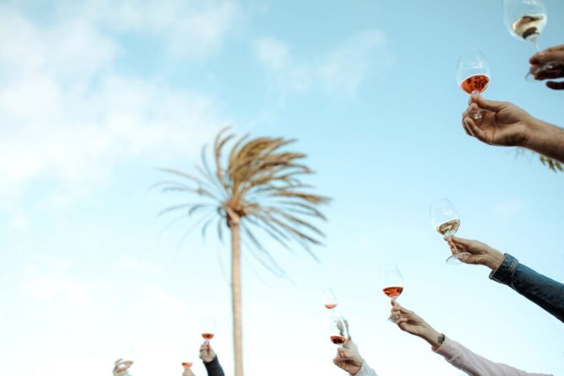 Lanzarote: Vineyard Tour with Wine and Chocolate Tasting - Final Thoughts: Who Will Love This Tour?