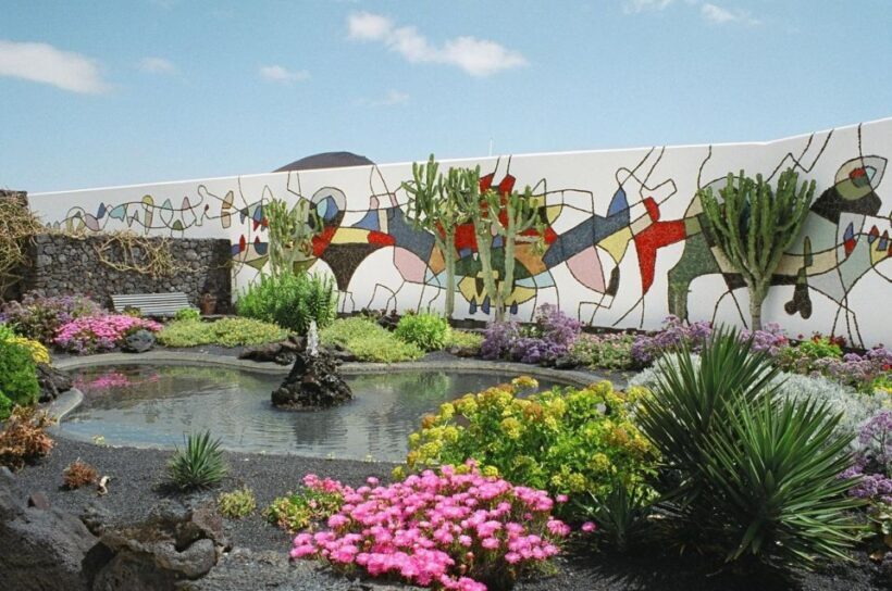 Lanzarote: Volcanic Landscapes Tour with Panoramic Views - A Closer Look at the Lanzarote Volcanoes Tour