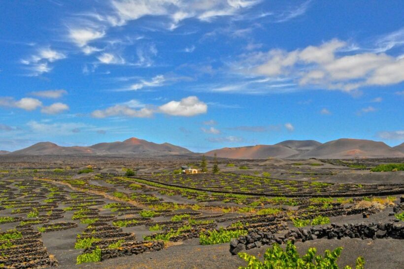 Lanzarote: Volcanos of Timanfaya and Caves Tour with Lunch - Discovering Lanzarote’s Volcanoes and Natural Wonder