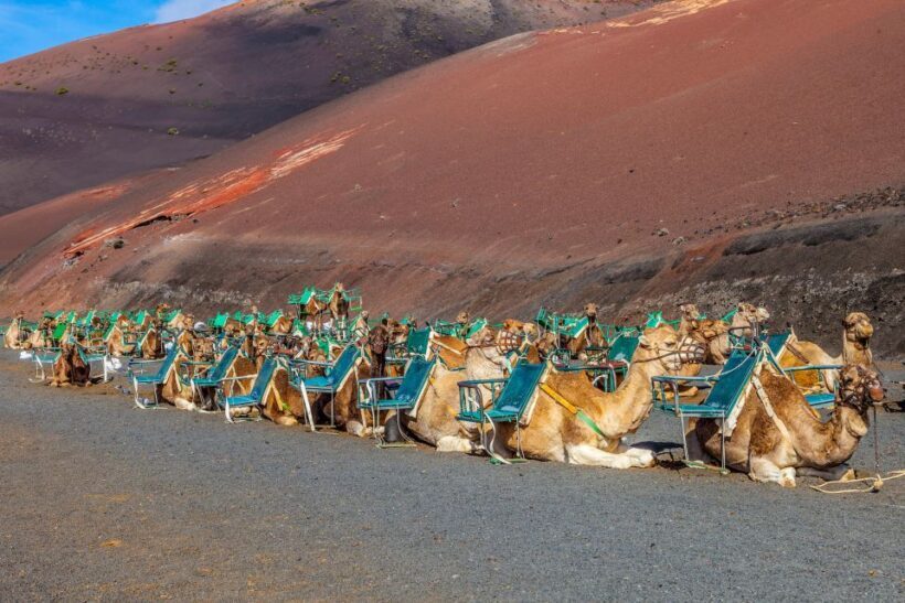 Lanzarote: Volcanos of Timanfaya and Caves Tour with Lunch - The Balance of Value and Experience