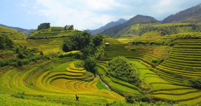 Lao Chai: Full-Day Ta Van Trek Tour from Sapa - Authenticity and Cultural Encounters