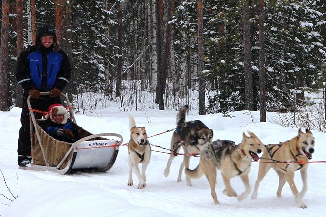 Lapland Husky Safari From Saariselkä - Exploring the Magic of Lapland