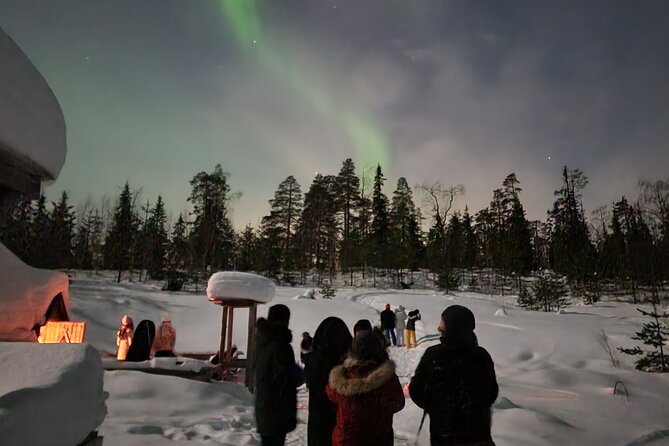 Lapland In A Day - Reindeer, Sledding, Snowmobile & Nature - FAQ
