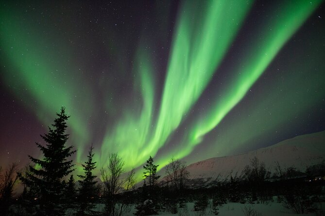 Lapland Northern Lights Tour From Tromso - Inclusions and Amenities