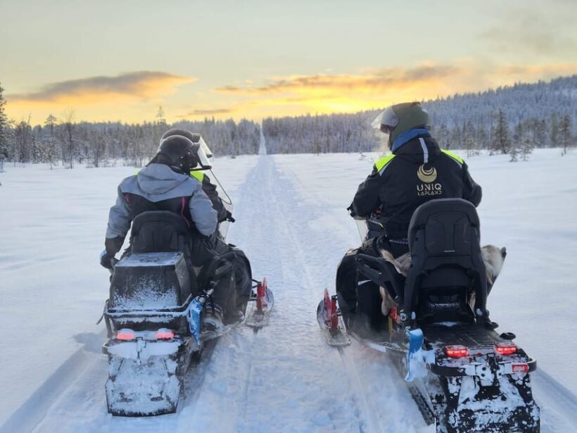 Lapland: Private Snowmobile Safari with arctic Local Guide - Final Thoughts: Who Should Consider This Tour?