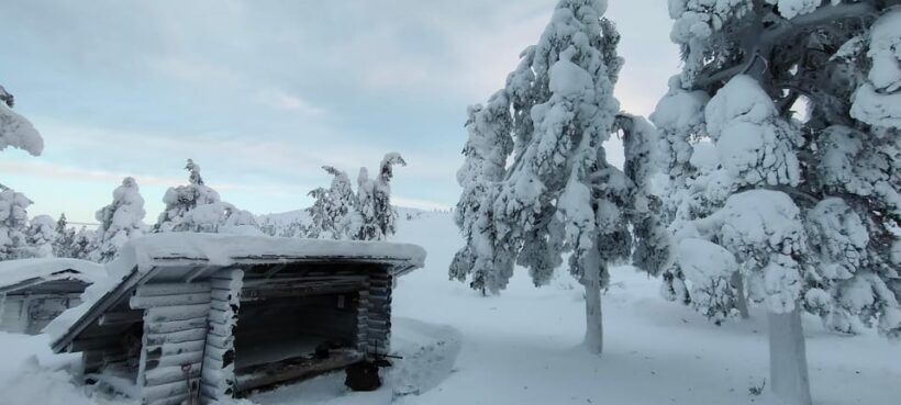 Lapland: Private VIP 7h Snowmobile Tour with Local Guide - Authentic Experiences and Why It Works