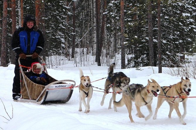 Lapland Reindeer and Husky Safari From Rovaniemi - Pricing and Booking Information