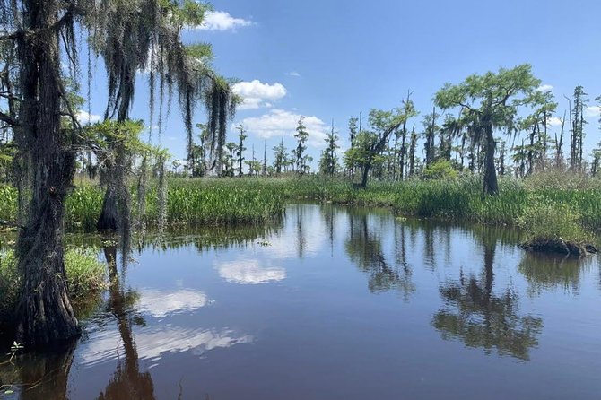 Large Airboat Swamp Tour with Transportation from New Orleans - Final Thoughts
