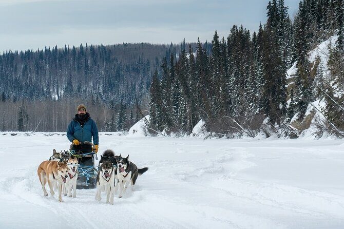 Large Groups for Mushing Activity - Large Groups for Mushing Activity: An Authentic Arctic Adventure in Fairbanks