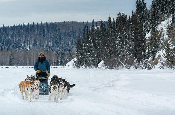 Large Groups for Mushing Activity - The Sum Up