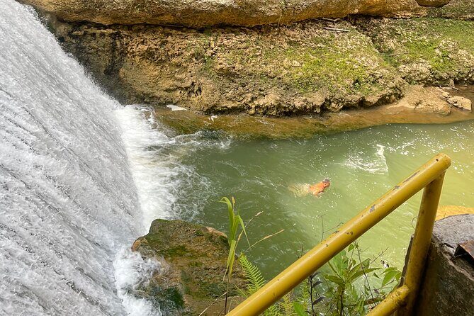 Largest Natural Waterslide, River Hike and Beach Tour in Arecibo - Who This Tour Is Best For
