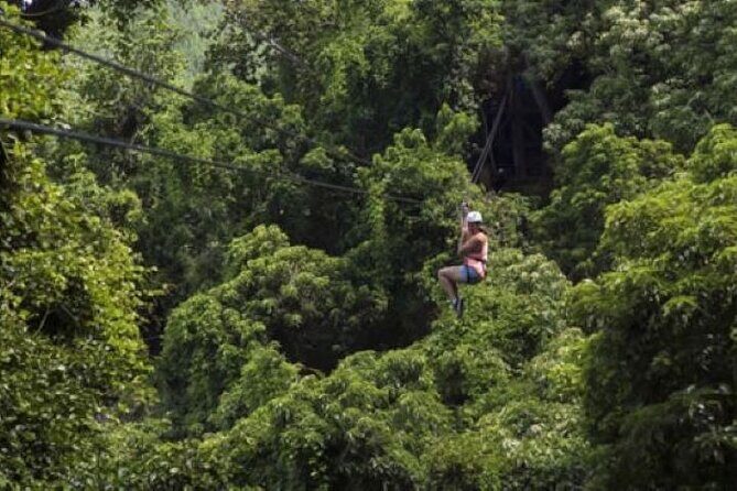 Largest Zipline in South Pacific & Cave Exploration in Nadi - Practical Details and Value