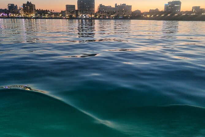 Larnaca Sunset Cruise with Unlimited Beers & Wine - The Group Size and Atmosphere