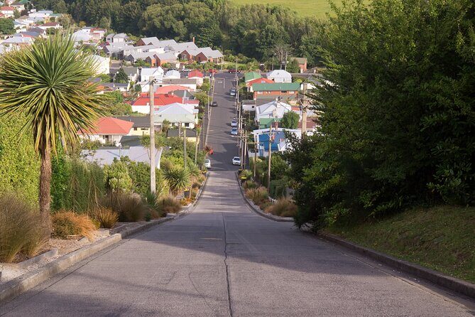 Larnach Castle & Dunedin City Highlights Tour - Key Points