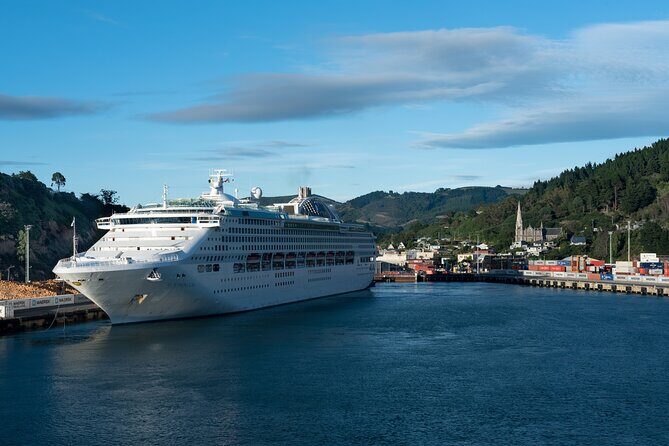 Larnach Castle & Dunedin City Highlights Tour - Real Traveler Insights
