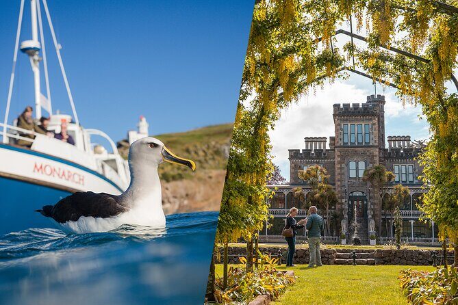 Larnach Castle & Otago Wildlife Cruise from Dunedin - What Travelers Are Saying