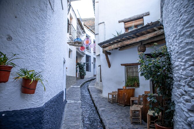 Las Alpujarras Full-Day Tour With Optional Lunch From Granada - Exploring Lanjaron and Its Water Museum