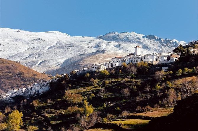 Las Alpujarras Full-Day Tour With Optional Lunch From Granada - Enjoying a Traditional Alpujarreno Lunch in Capileira