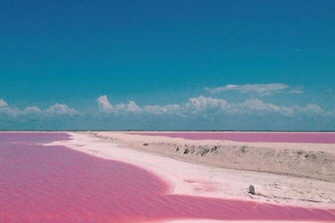 Las Coloradas Amazing Pink Lake & Rio Lagartos from Tulum - A Deep Dive into the Tour Experience