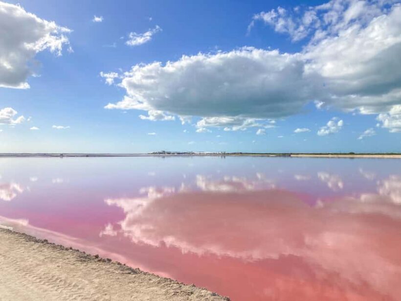 Las Coloradas and Ría Lagartos - Exploring Las Coloradas: A Surreal Pink Paradise