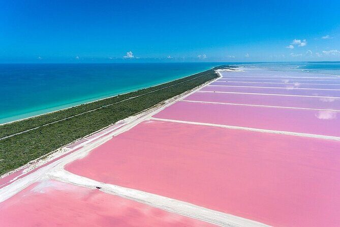 Las Coloradas and Rio Lagartos only from Merida - The Value of the Experience