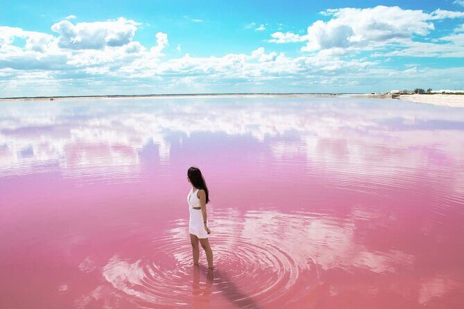 Las Coloradas and Rio Lagartos only from Merida - FAQ: Practical Questions About the Tour