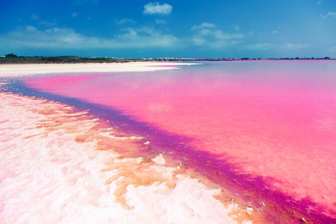Las Coloradas and Rio Lagartos Tour with All Inclusive - Who Should Consider This Tour?