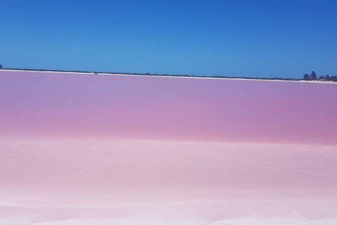 Las Coloradas - Price and Value