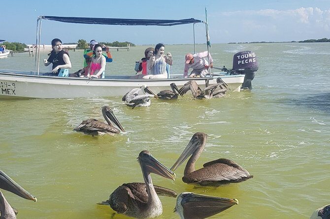 Las Coloradas - Authentic Experiences and Traveler Feedback