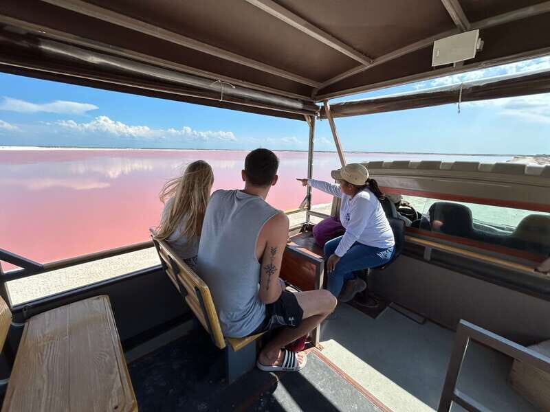 Las Coloradas: Pink Lakes Safari Tour - An Introduction to the Tour