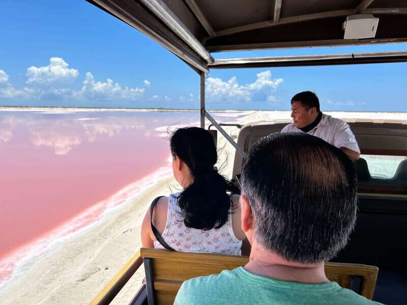 Las Coloradas: Pink Lakes Safari Tour - The Itinerary: What to Expect