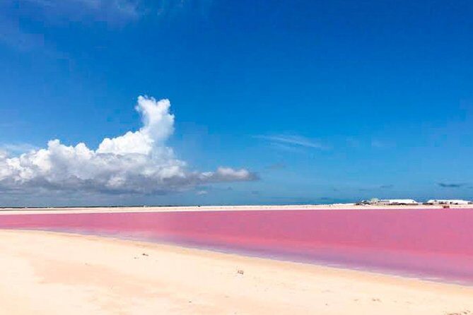 Las Coloradas & Rio Lagartos, Beautiful Eco Adventure from Tulum City - Key Points