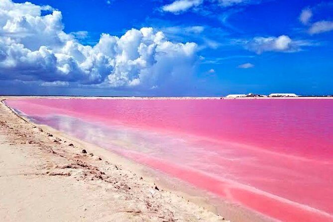 Las Coloradas & Rio Lagartos, Beautiful Eco Adventure from Tulum City - FAQ