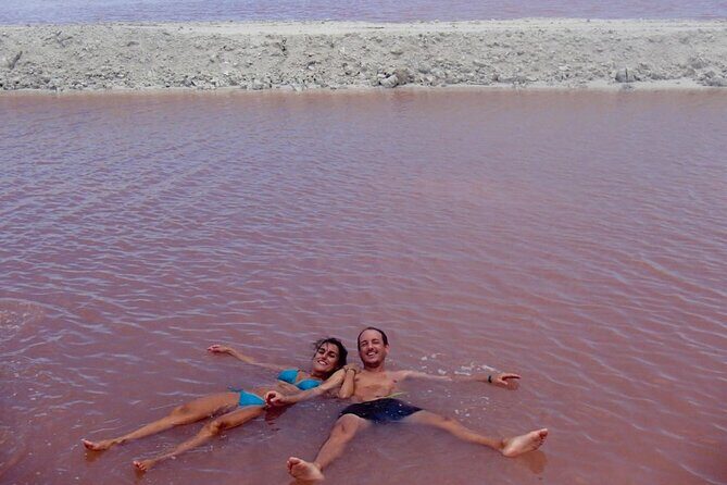 Las Coloradas & Rio Lagartos Tour from Cancún - Cost and Value: Is It Worth It?