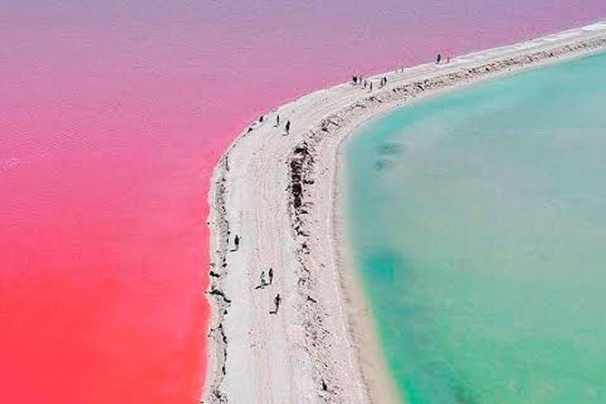 Las Coloradas & Rio Lagartos Tour from Cancún - Authentic Experiences and Traveler Feedback