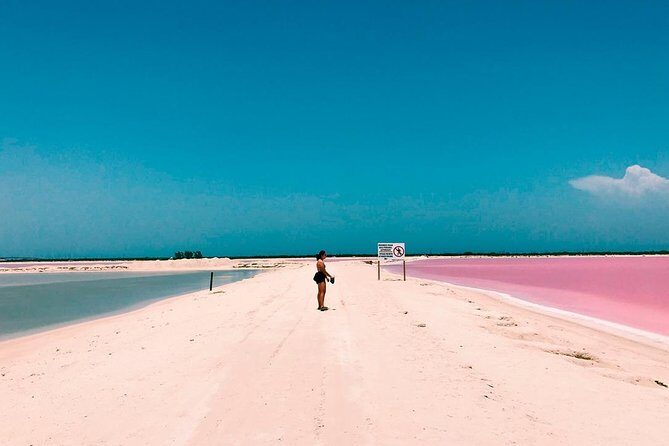 Las Coloradas Tour! Boat Ride, Lunch & Rio Lagartos from Cancun - Cultural and Culinary Highlights: Salt and Food